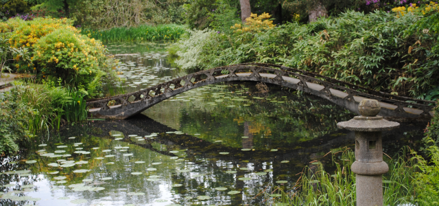 Lucas Group Financial Advisors